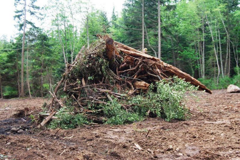 Industrial/Machine Stacked Burn Piles – Denman Island Fire Rescue